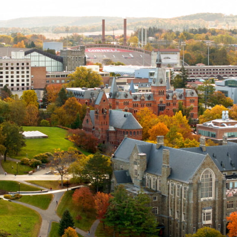 Auto Draft - Cornell Research & Innovation