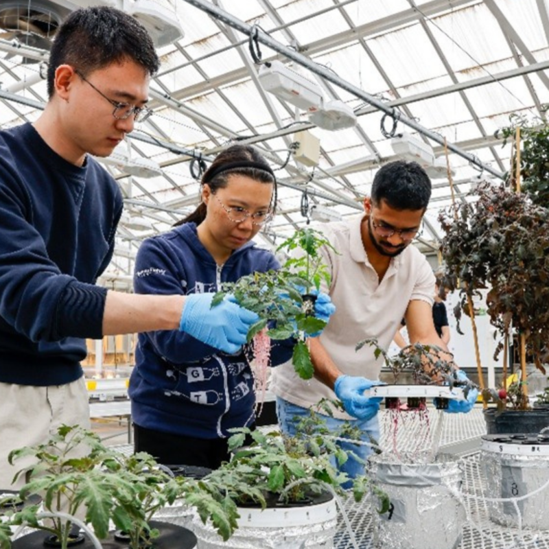 Home - Cornell Research & Innovation