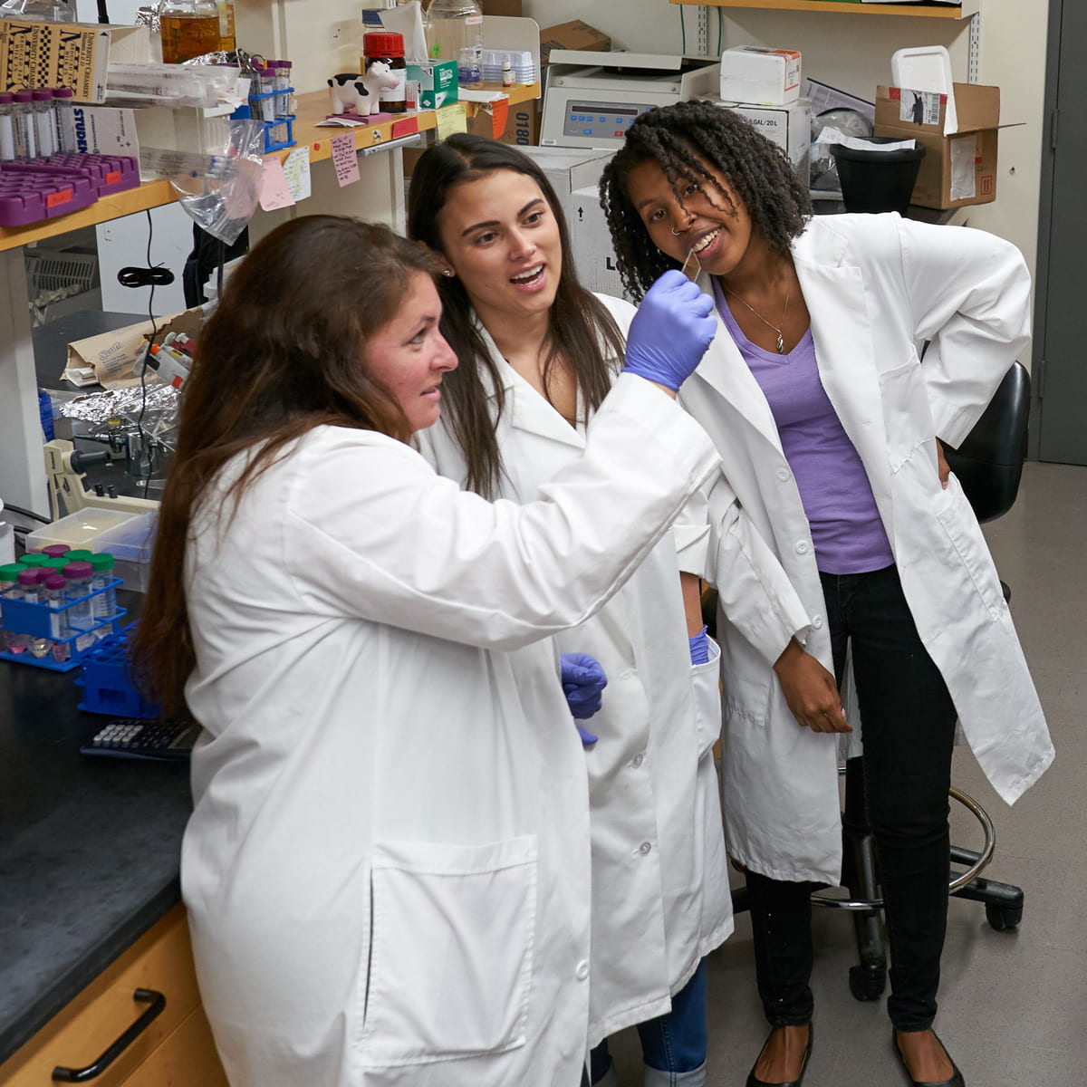 Home - Cornell Research & Innovation